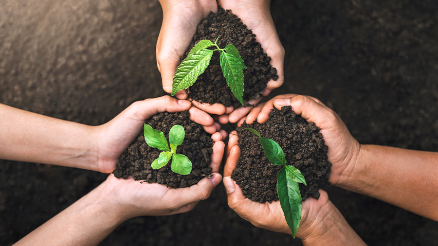 Environmental Detection — A Chemtek